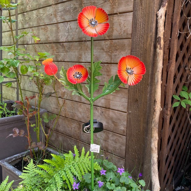 Solar Poppy Flower Stake Light – Starlolly